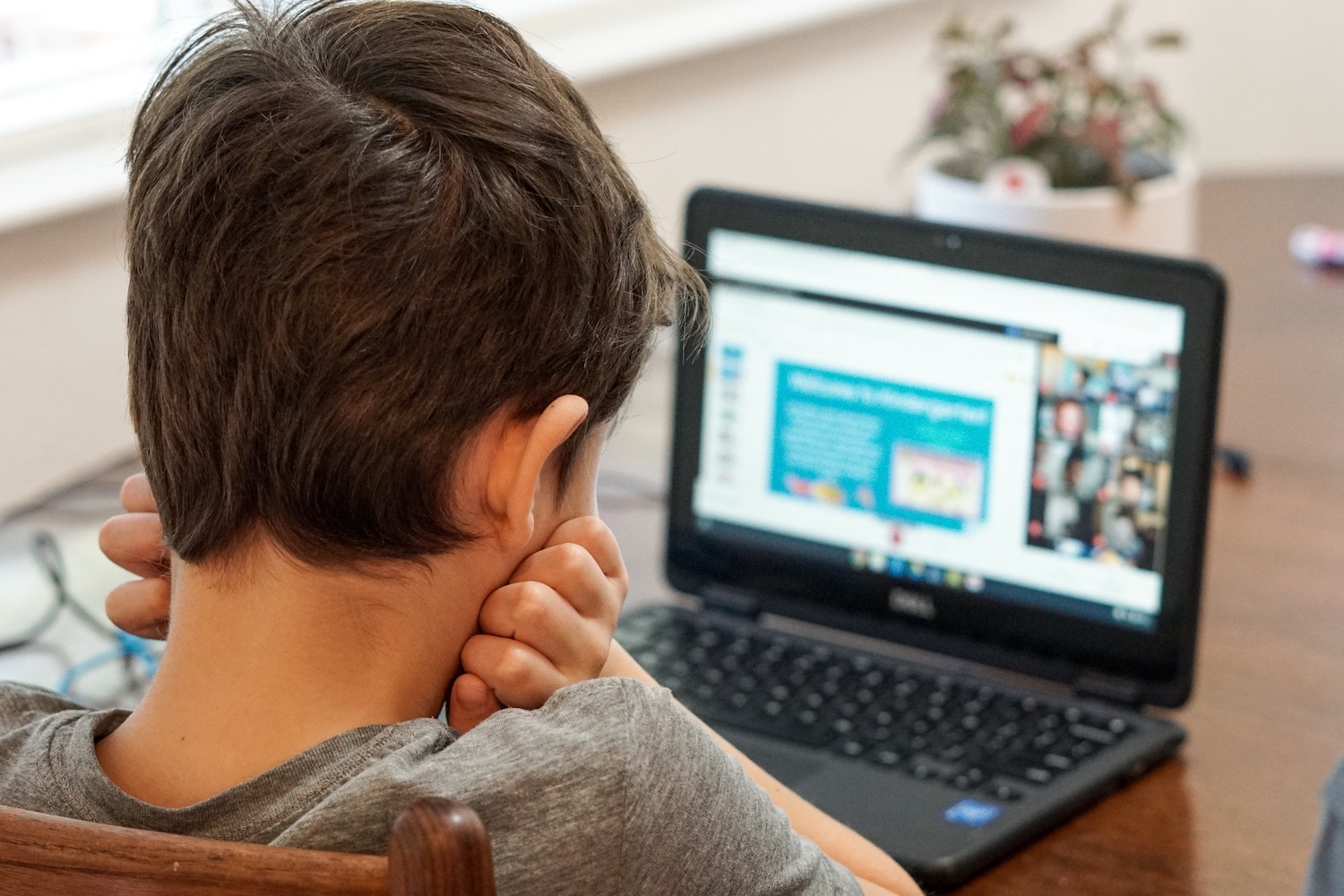 The Pros and Cons of Online Learning - MawCloud Learning